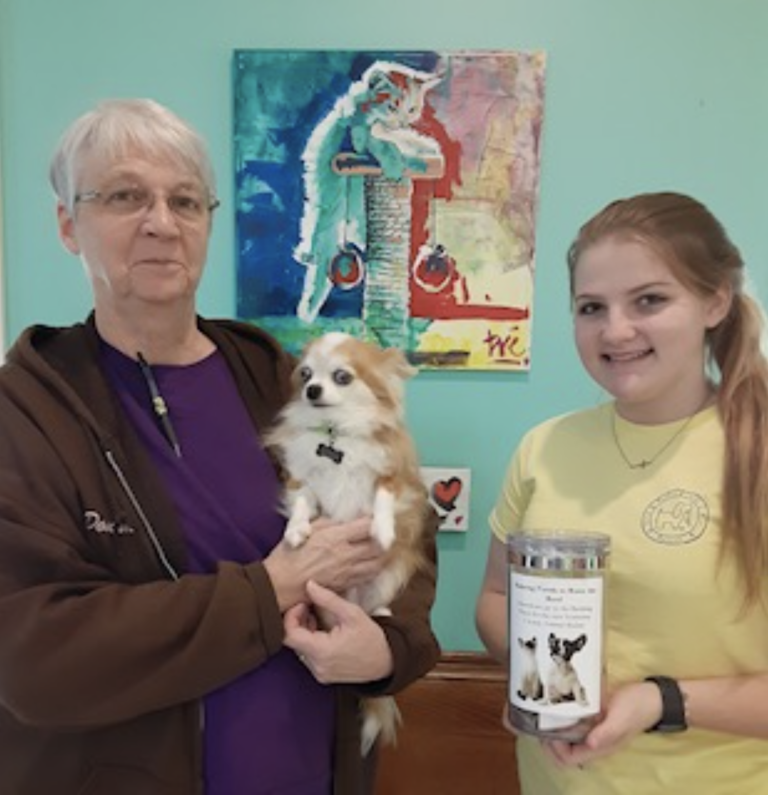 Dollars for Dogs and Cats